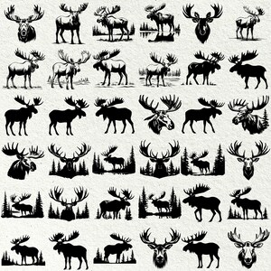 Moose SVG File / Moose Head SVG / Moose Png & Svg / Forest Animal ...