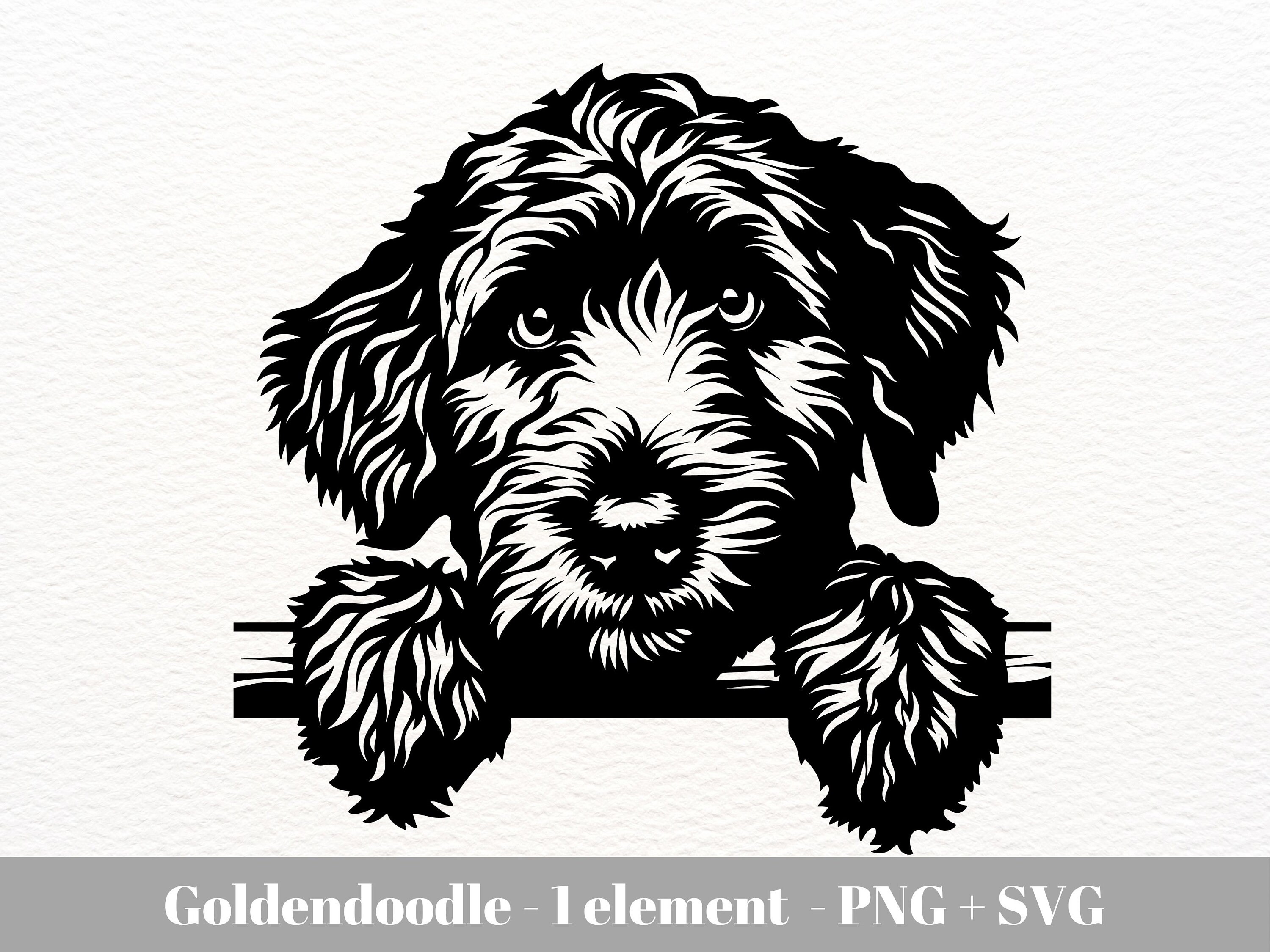 Peeking Golden Doodle Svg / Goldendoodle Svg / Golden Doodle Png ...