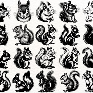 Squirrel Svg Bundle / Woodland Squirrel Svg / Woodland Animal Svg ...