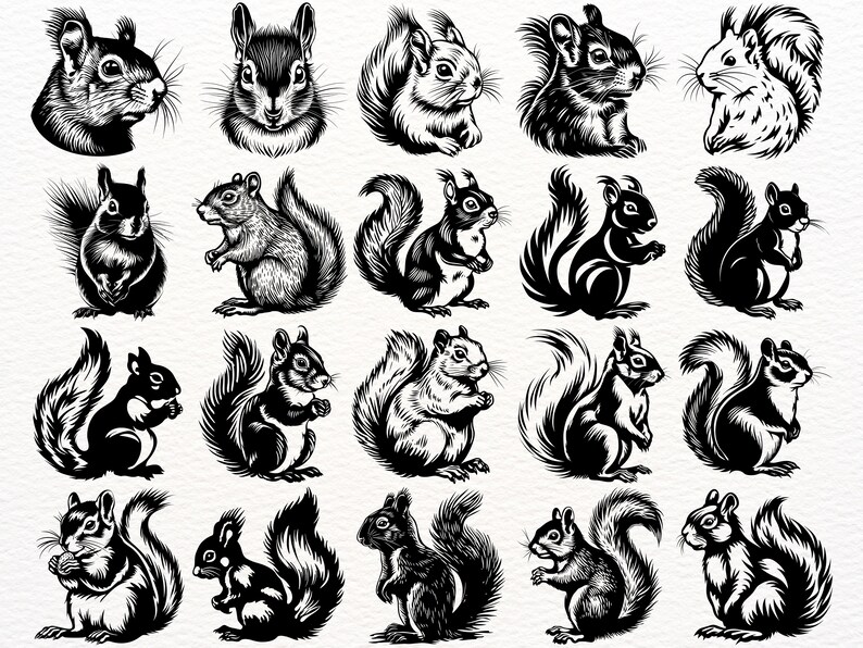 Squirrel Svg Bundle / Woodland Squirrel Svg / Woodland Animal Svg ...