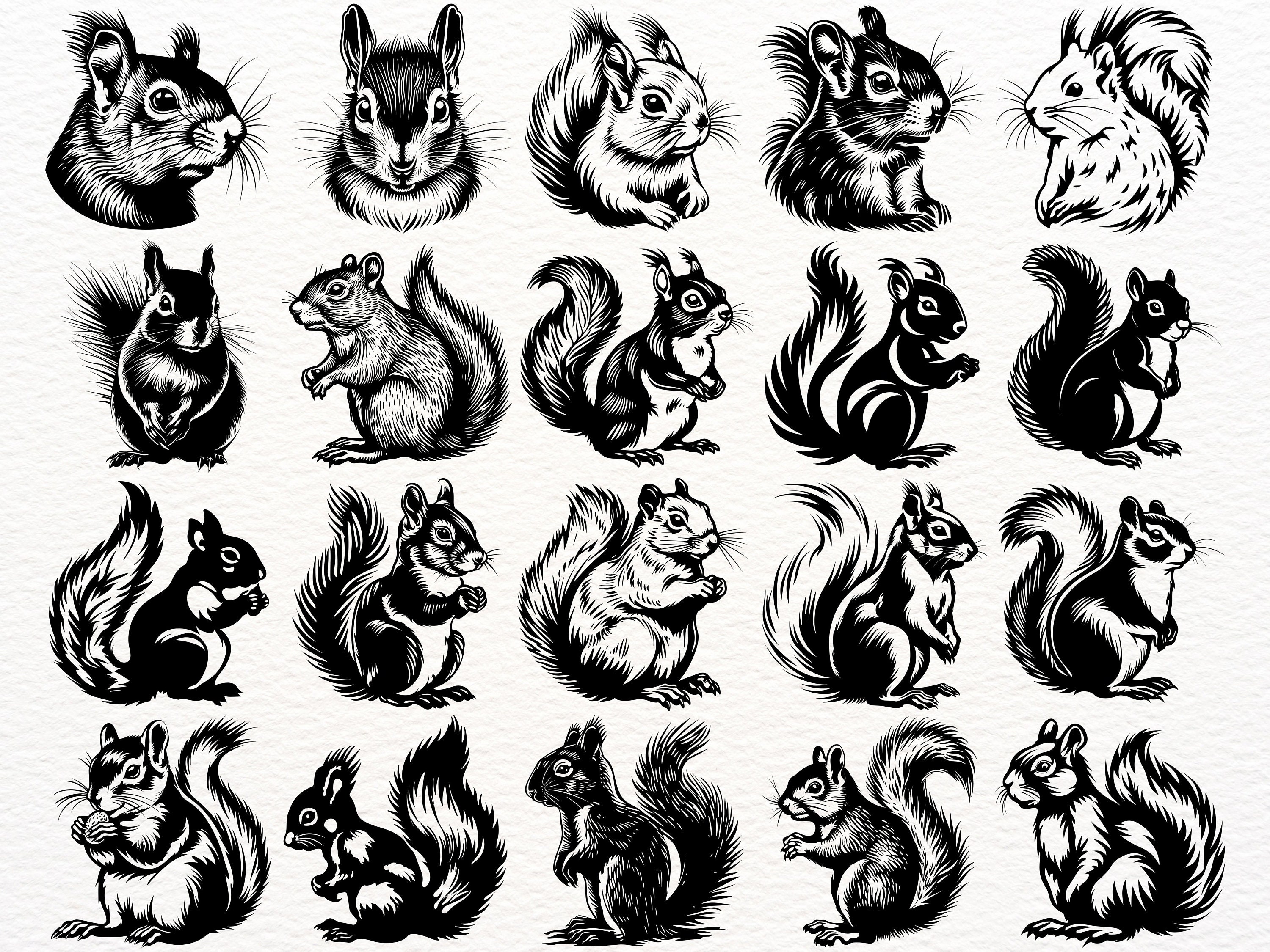 Squirrel Svg Bundle / Woodland Squirrel Svg / Woodland Animal Svg ...