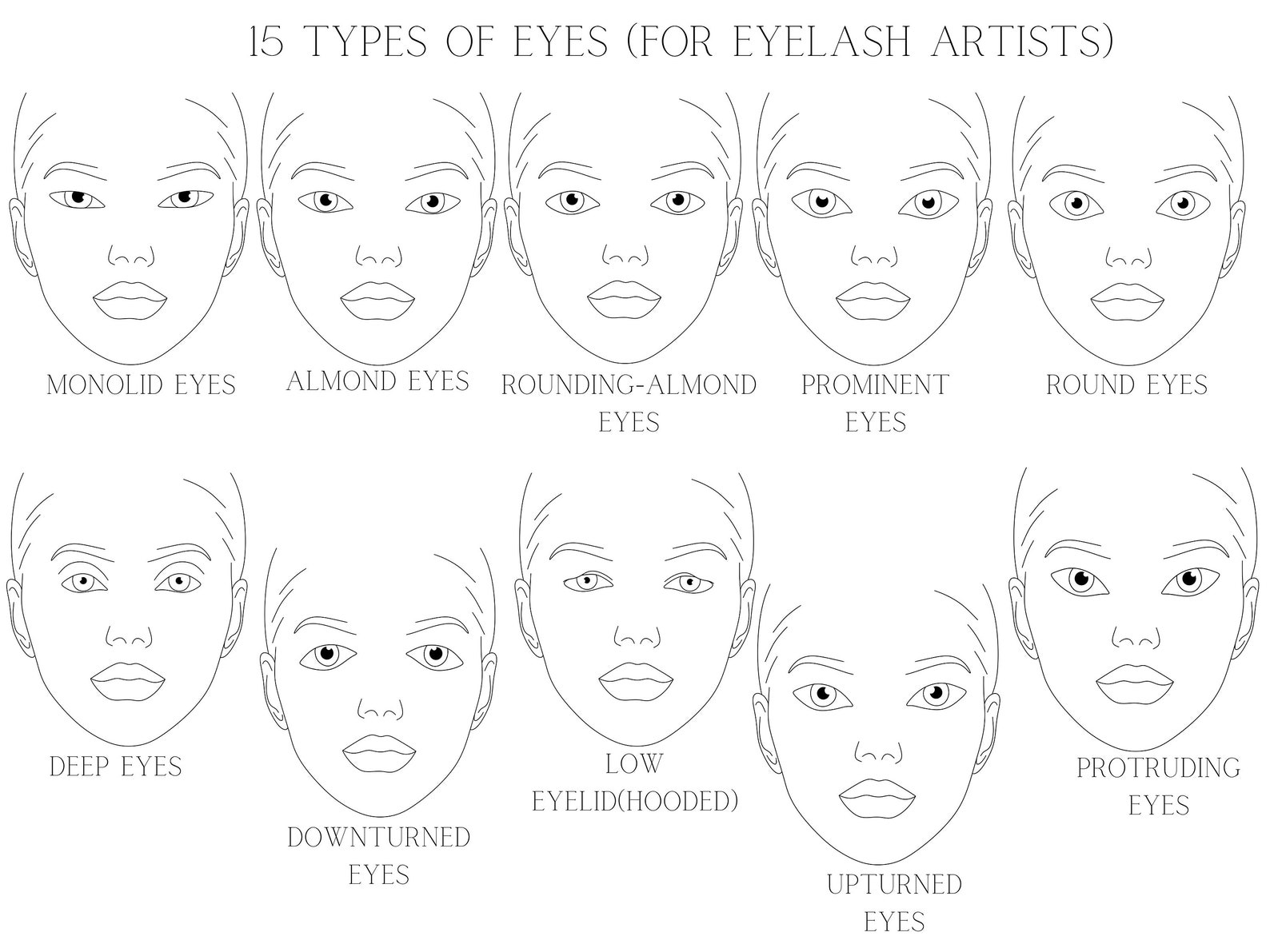 Face Chart / Face Shape / Makeup Face Shapes / Face Shape Svg - Etsy