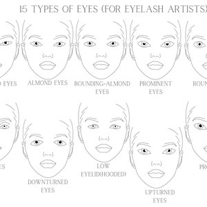 Face Chart / Face Shape / Makeup Face Shapes / Face Shape Svg / Lash ...