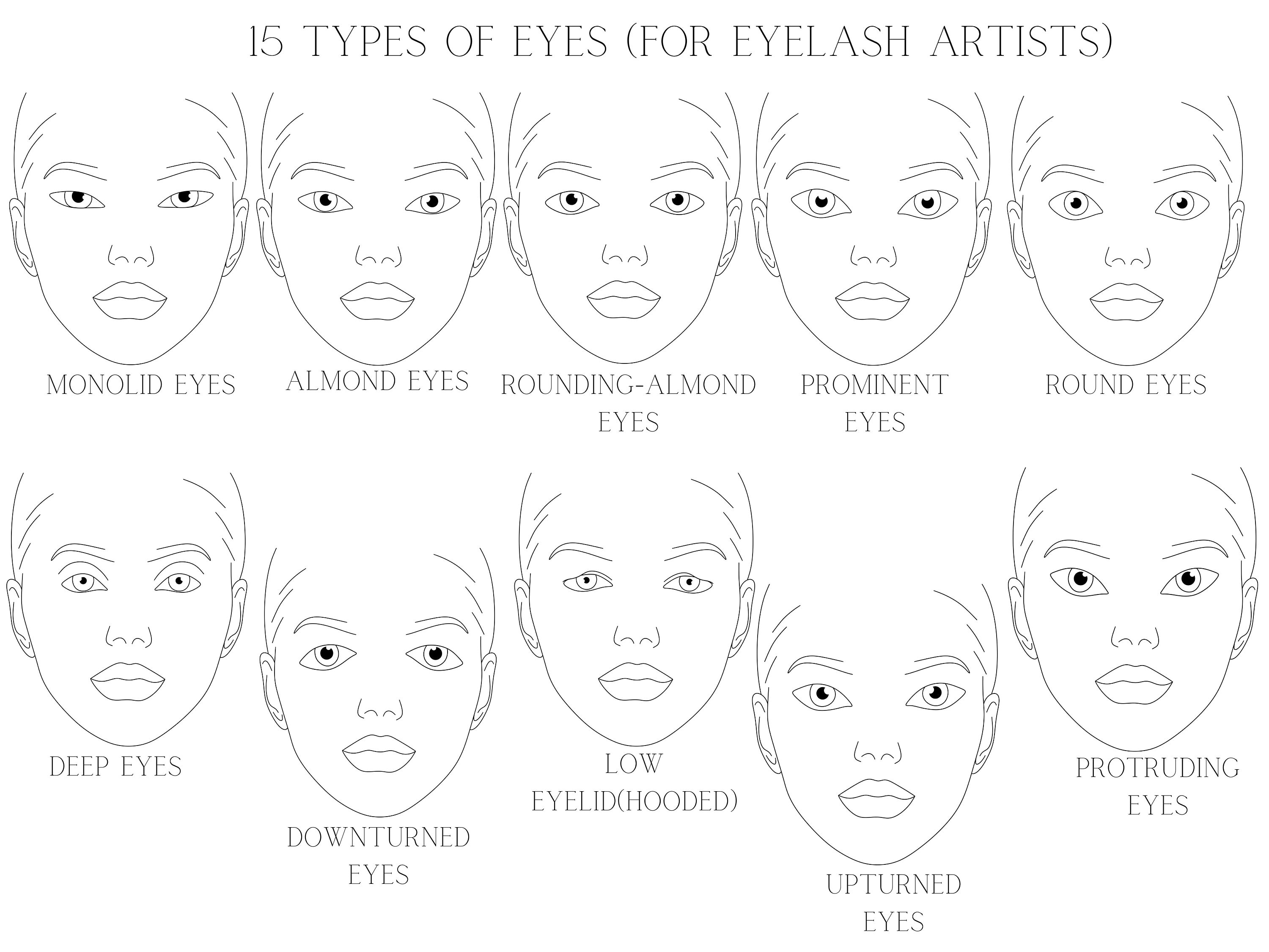 Face Chart / Face Shape / Makeup Face Shapes / Face Shape Svg / Lash ...