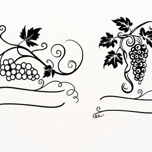 Grapevine Designs / Grapevine SVG for Commercial Use / Grapes and Vine ...