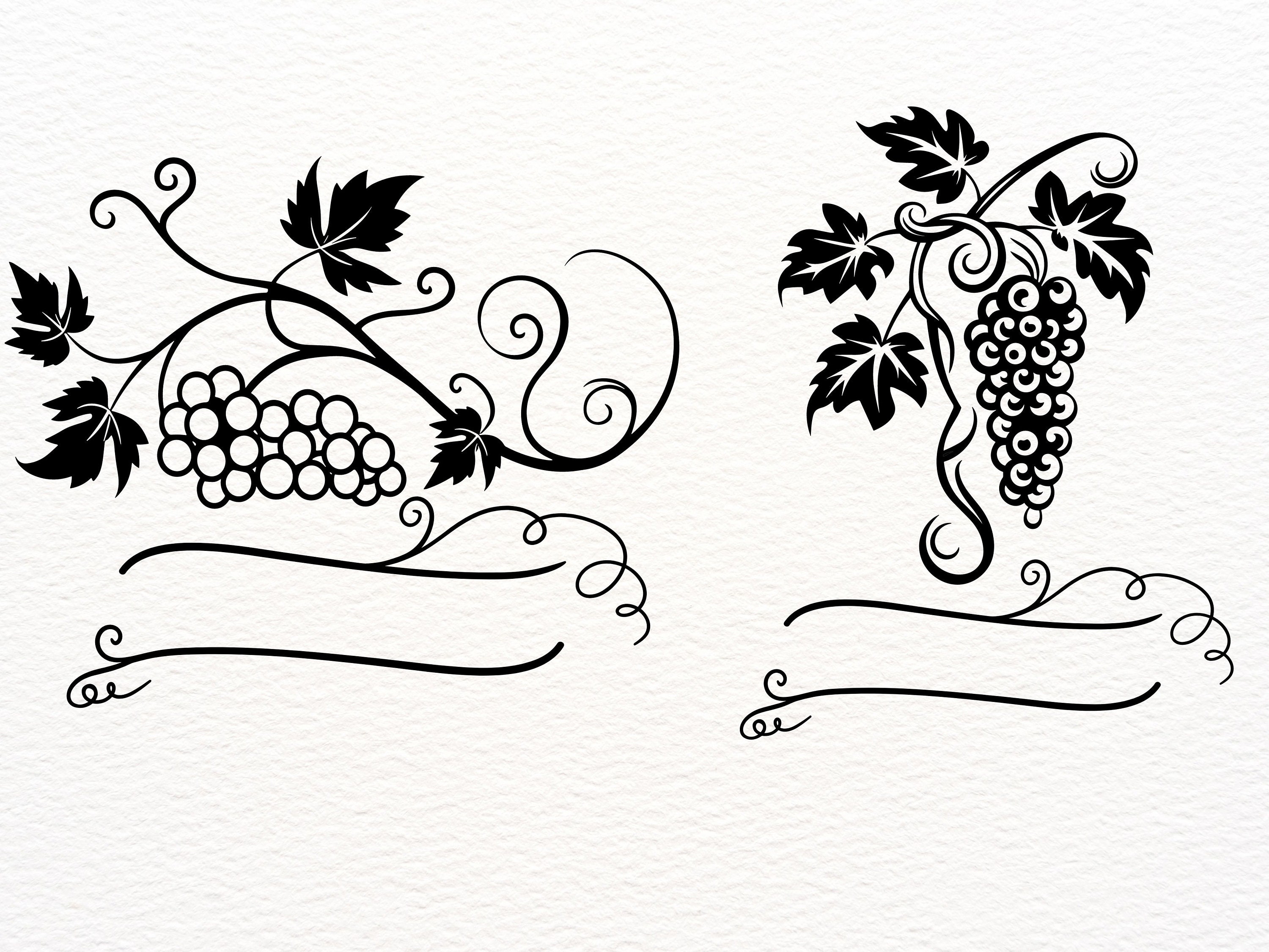 Grapevine Designs / Grapevine SVG for Commercial Use / Grapes and Vine ...