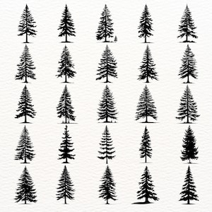 Evergreen Trees Svg / Pine Tree Svg File / Fir Tree Stencil / Forest ...