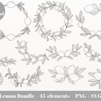 Ginger SVG, Ginger Clipart, Ginger Files for Cricut, Ginger Cut Files ...