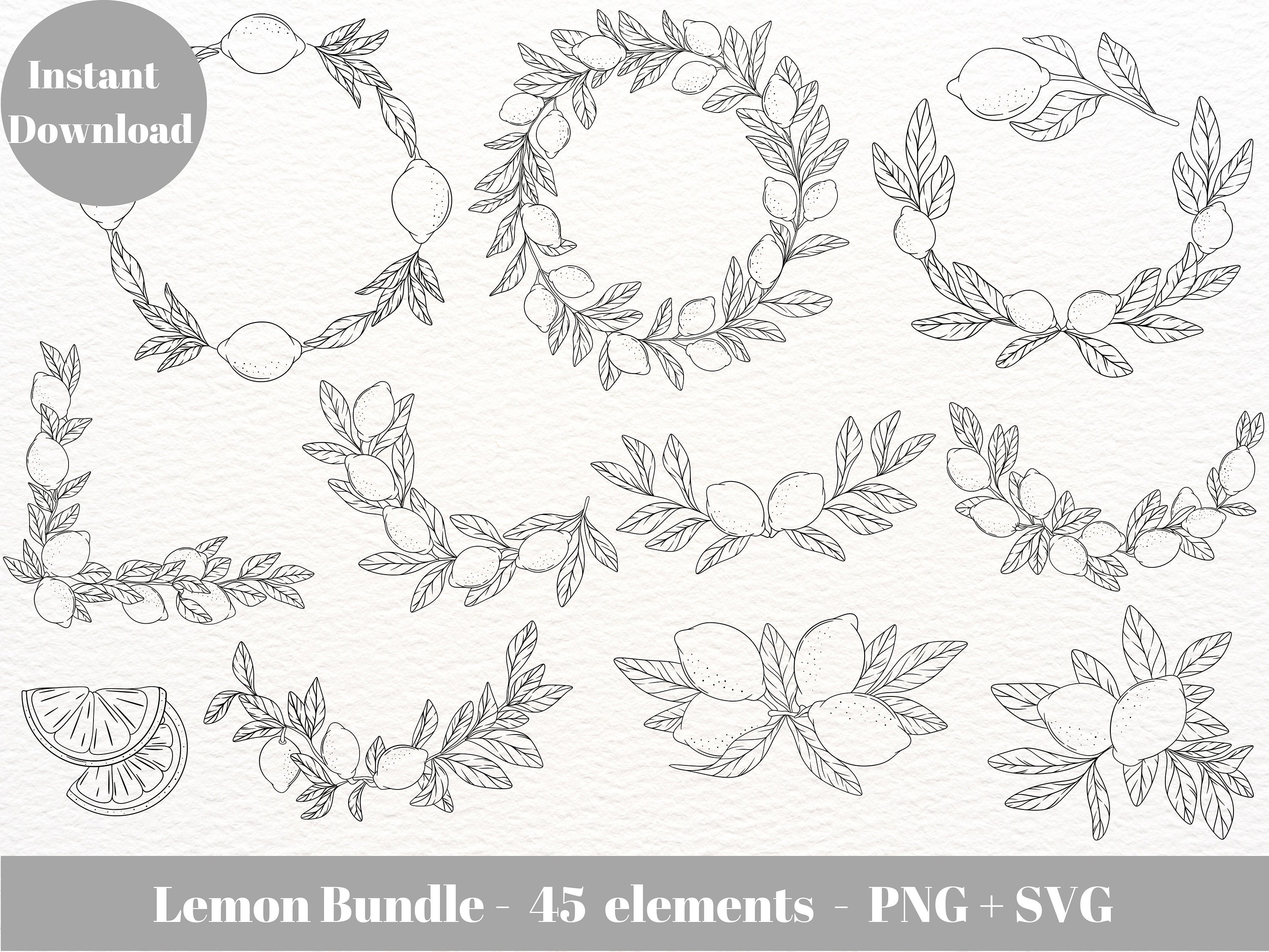 Lemon Outline / Lemon SVG / Lemon Svg Cricut / Lemon Branch / Lemon ...