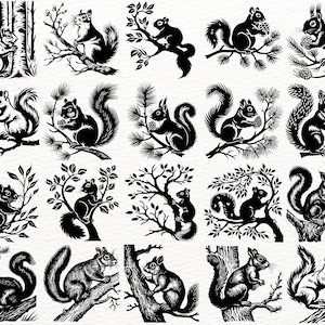 Squirrel Svg Bundle / Woodland Squirrel Svg / Woodland Animal Svg ...