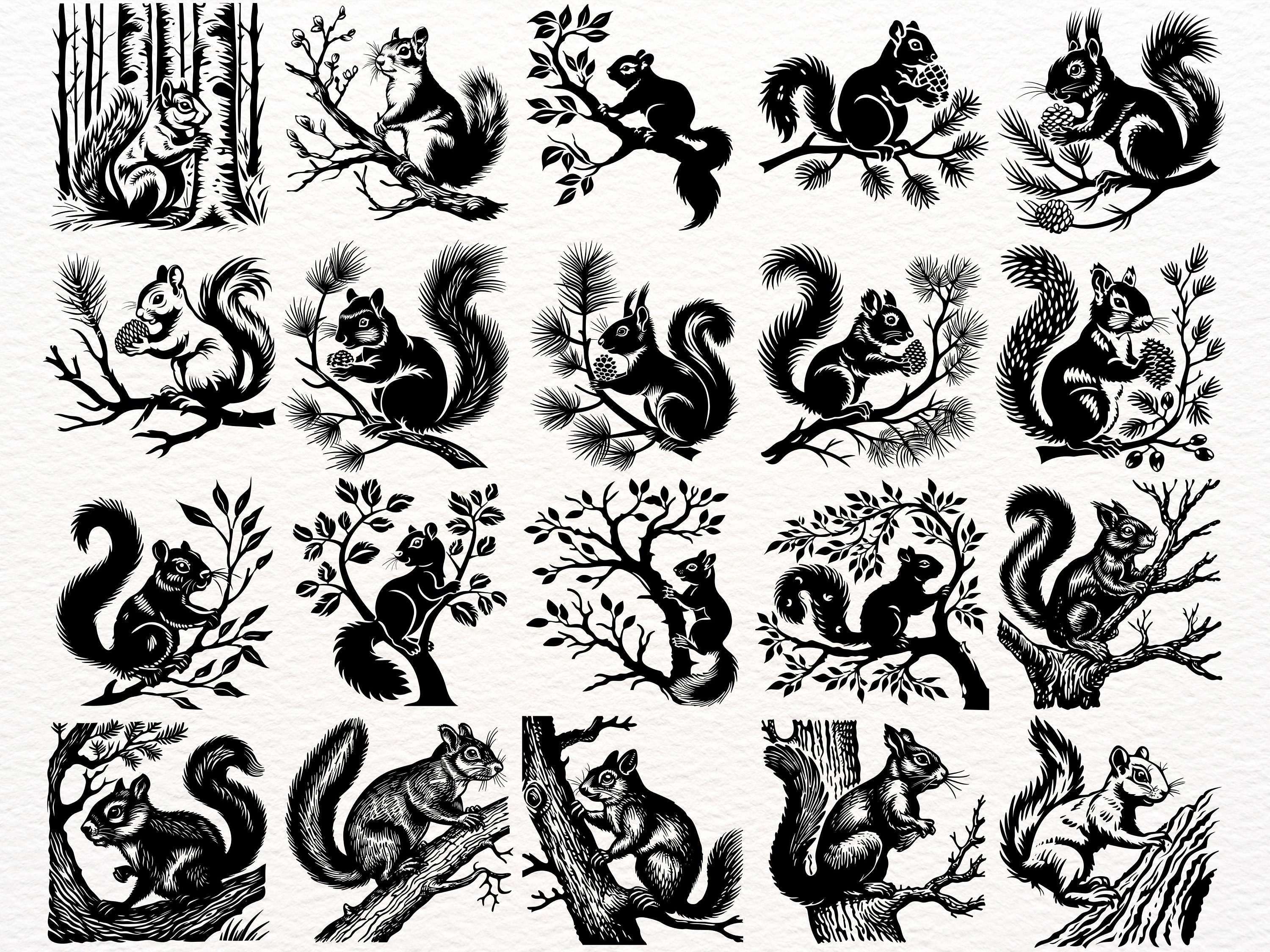 Squirrel Svg Bundle / Woodland Squirrel Svg / Woodland Animal Svg ...