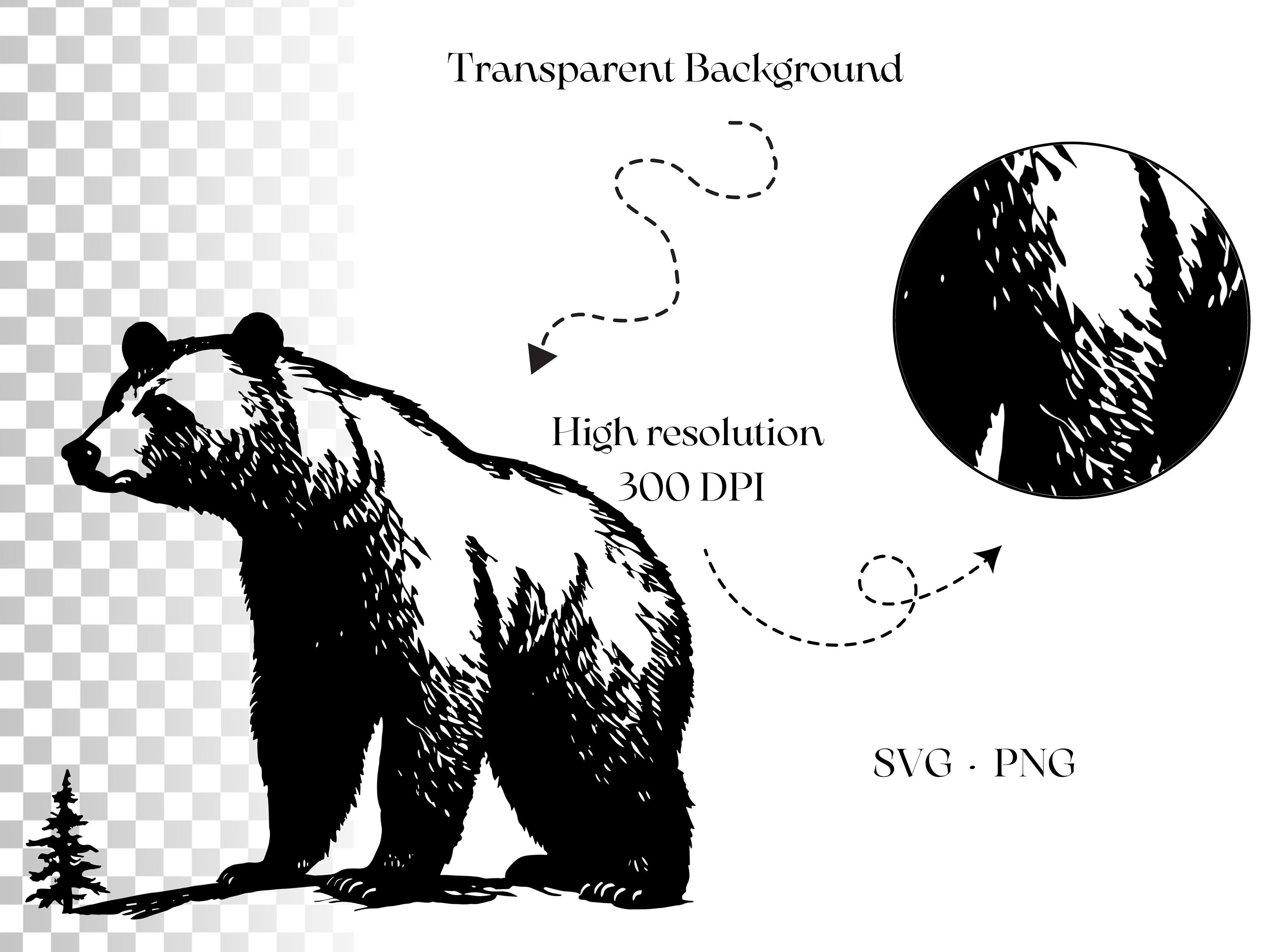 Paquete SVG de oso / Cabeza de oso svg / Clipart de oso PNG / Oso ...