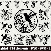 Hummingbird Heart Vector Illustration, Hummingbird SVG, Hummingbird PNG ...