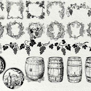 Wine Svg Bundle Grape Vine Svg / Grapes and Vine SVG / Vineyard Vines ...