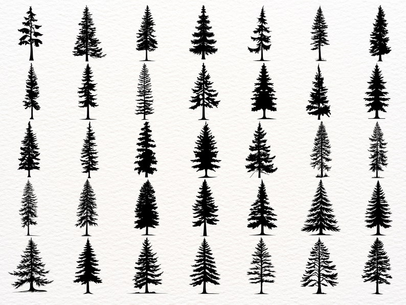 Evergreen Trees Svg / Pine Tree Svg File / Fir Tree Stencil / Forest ...