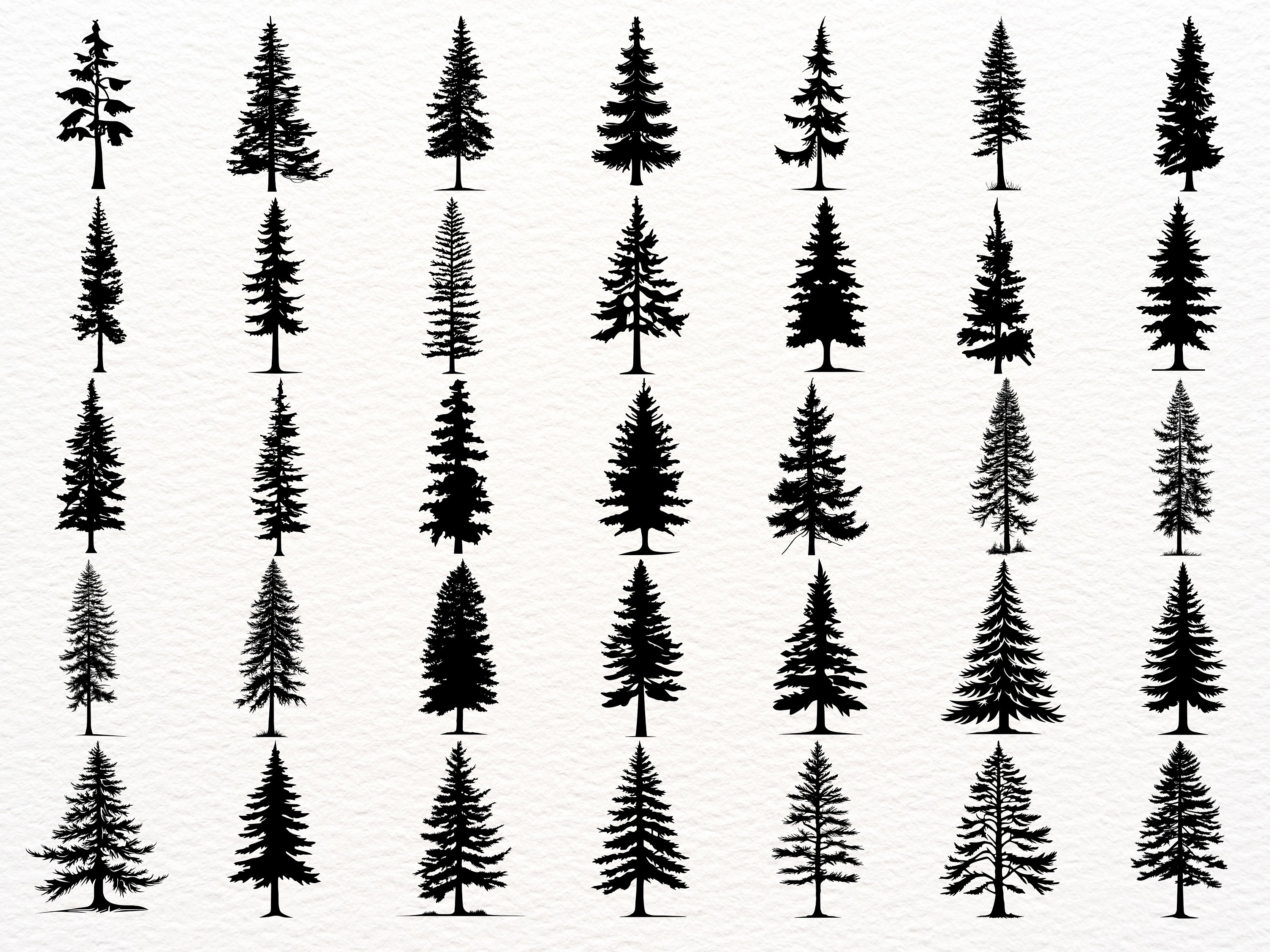 Evergreen Trees Svg / Pine Tree Svg File / Fir Tree Stencil / Forest ...
