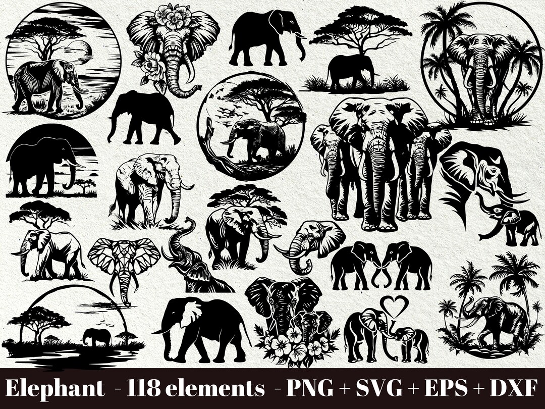 Elephant Svg Bundle / Safari Scene Svg / Elephant Svg Files / Floral ...