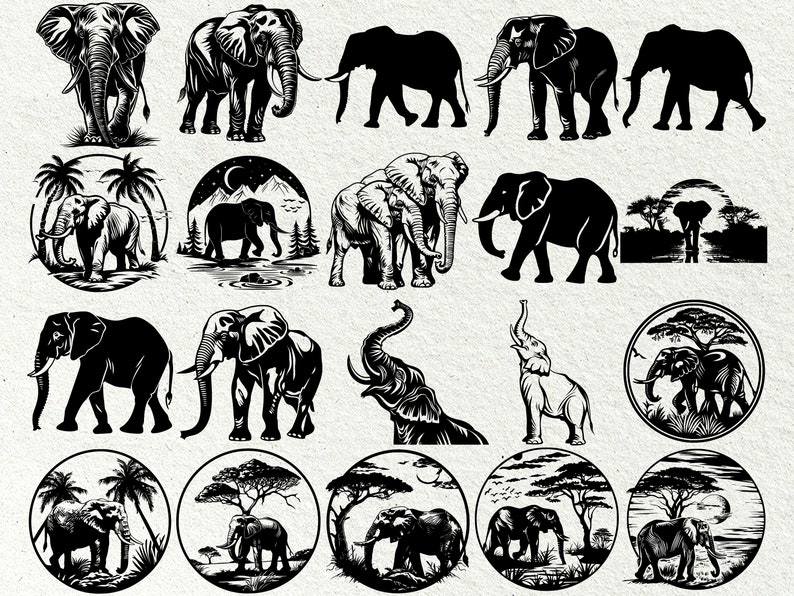 Elephant Svg Bundle / Safari Scene Svg / Elephant Svg Files / Floral ...
