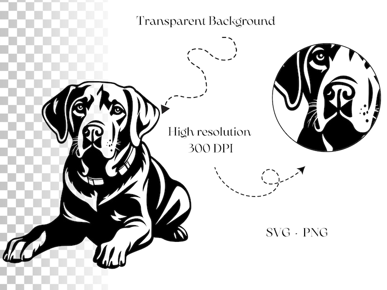 Labrador Retriever Svg / Peeking Labrador / Labrador Svg Cut File / Dog ...