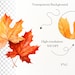 29 Watercolor Fall Leaves Clipart / Autumn Leaves Clipart PNG / Hand ...