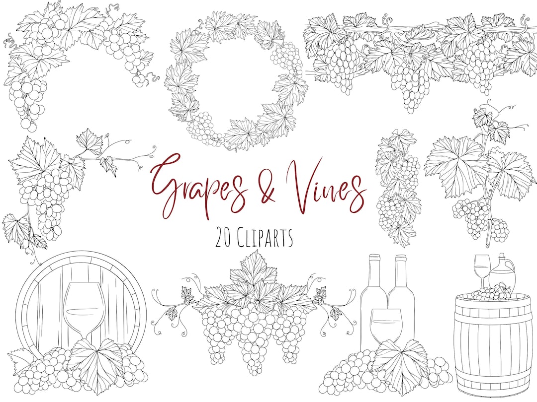 Grapevine SVG for Commercial Use / Grapes and Vine SVG / Wine - Etsy