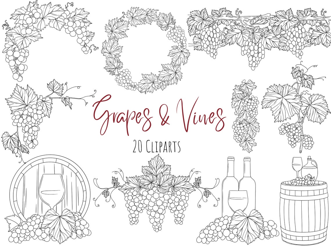Grapevine SVG for Commercial Use / Grapes and Vine SVG / Wine - Etsy