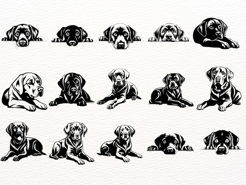 Labrador Retriever Svg / Peeking Labrador / Labrador Svg Cut File / Dog ...