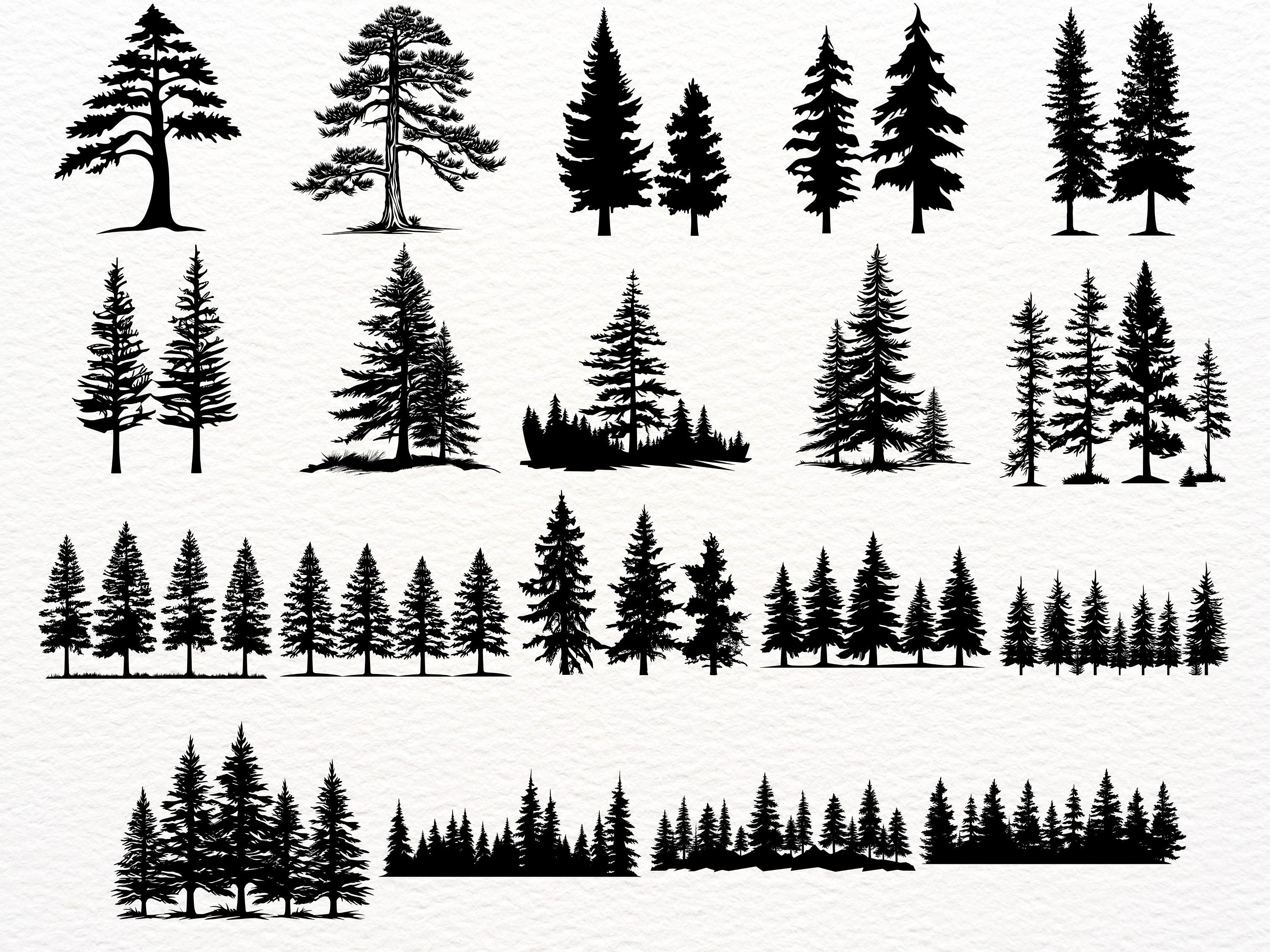 Evergreen Trees Svg / Pine Tree Svg File / Fir Tree Stencil / Forest ...