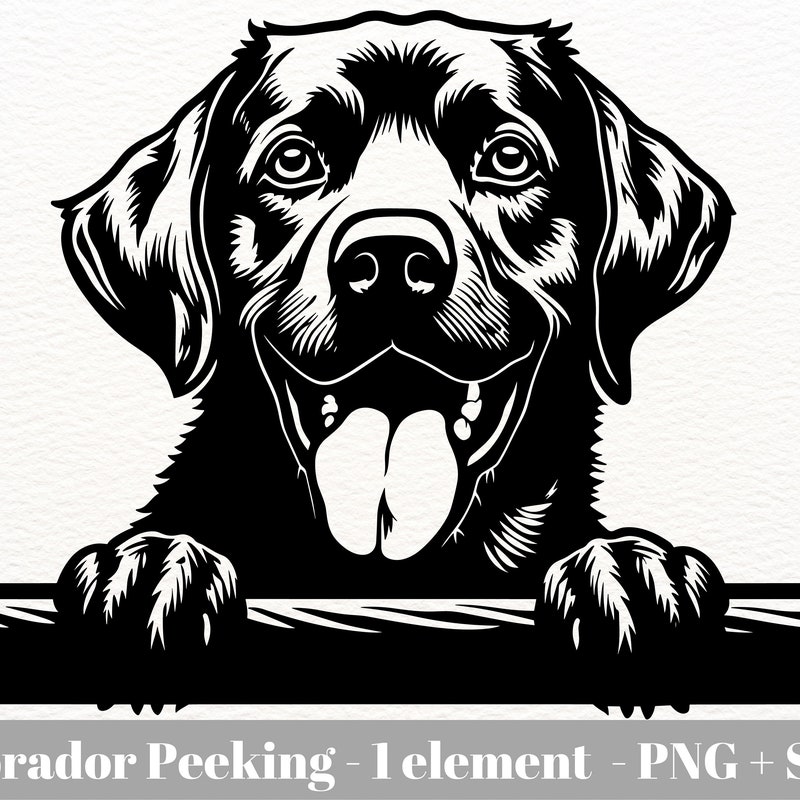 Peeking Lab Svg - Etsy