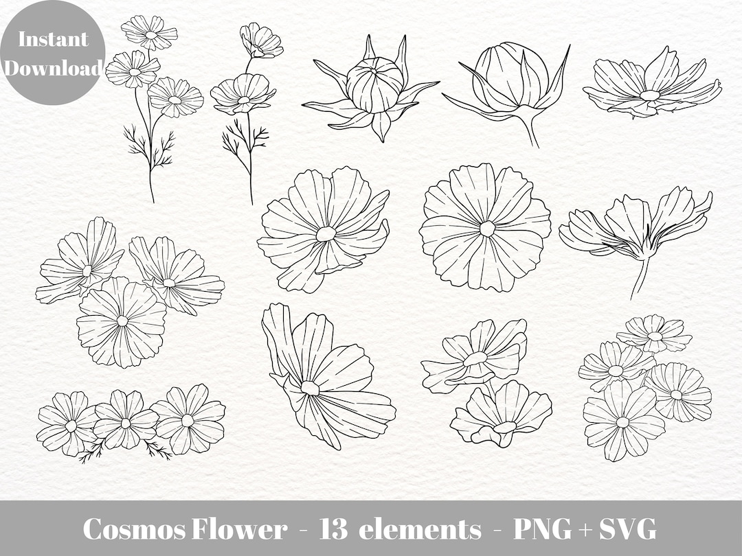 Cosmos Flower SVG | October Birth Month Flower | Autumn Flowers PNG ...