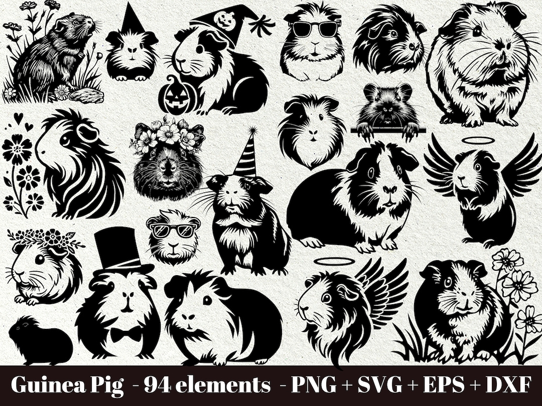 Guinea Pig SVG / Guinea Pig Clipart / Guinea Pig Silhouette / Guinea ...