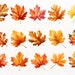 29 Watercolor Fall Leaves Clipart / Autumn Leaves Clipart PNG / Hand ...
