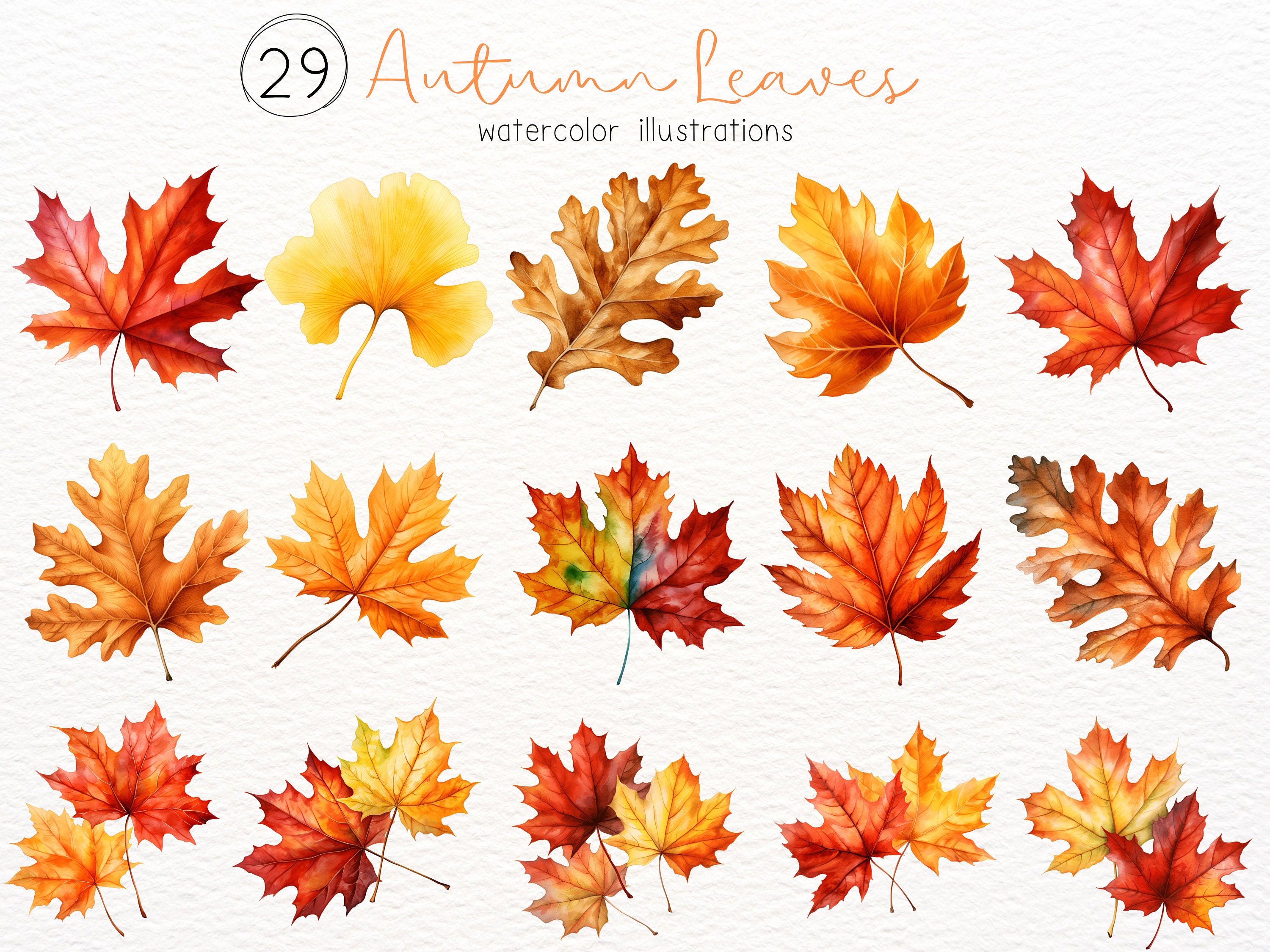 29 Watercolor Fall Leaves Clipart / Autumn Leaves Clipart PNG - Etsy