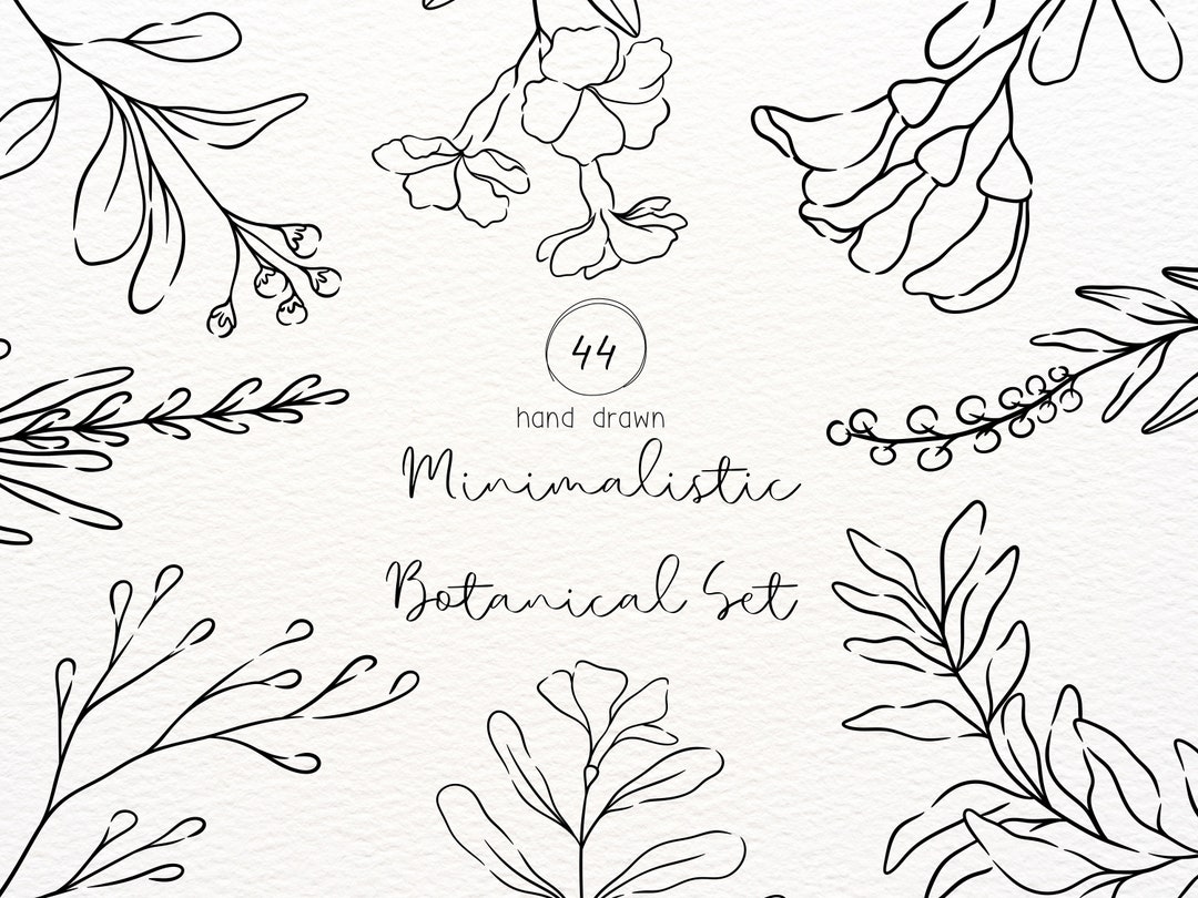 Minimalistic Flower Download / Botanical Line Art Clipart | Botanical ...