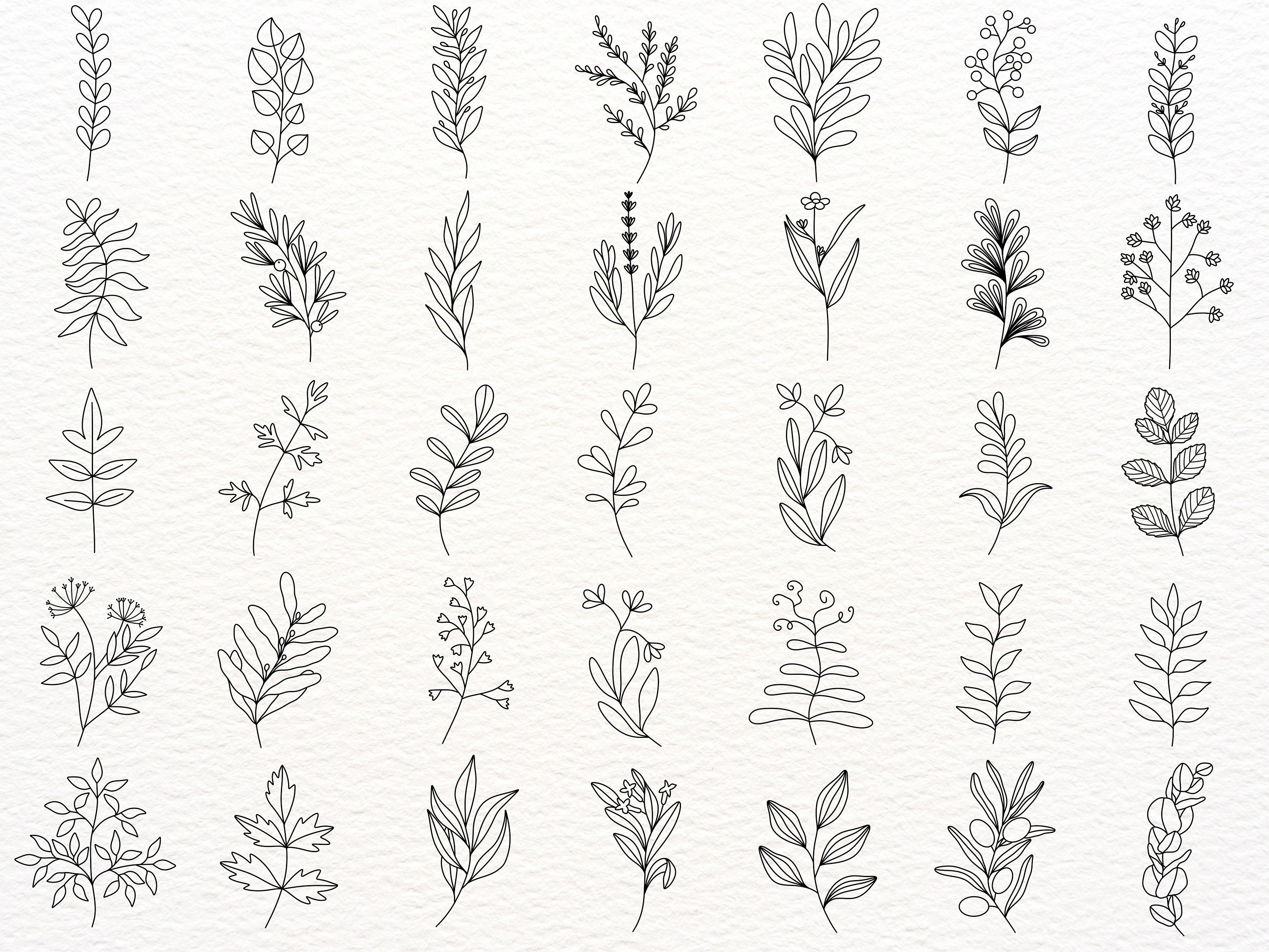 Greenery Line Art / Hand Drawn Leaf Svg / Leaves and Branches SVG ...