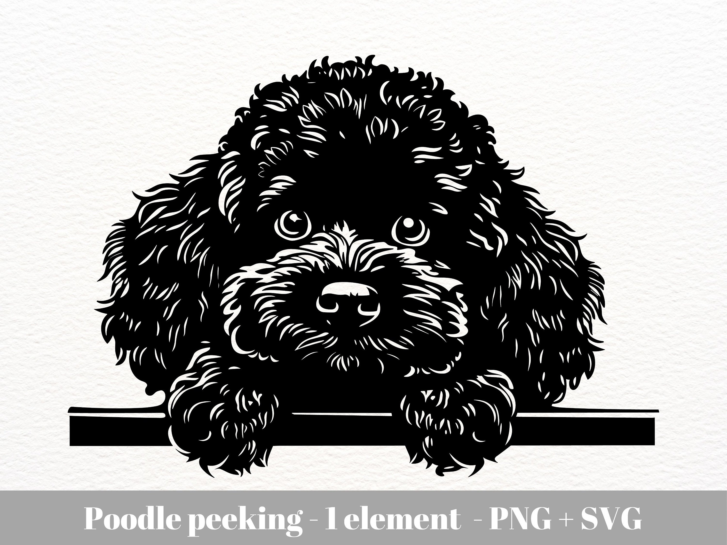 Peeking Poodle Svg / Cricut Poodle / Dog Breed Png / Toy Poodle Svg ...