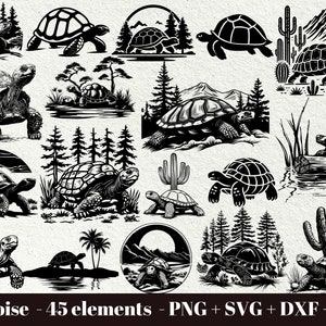 Tortoise Svg Bundle / Woodland Scene Svg / Tortoise Clipart / Wild ...