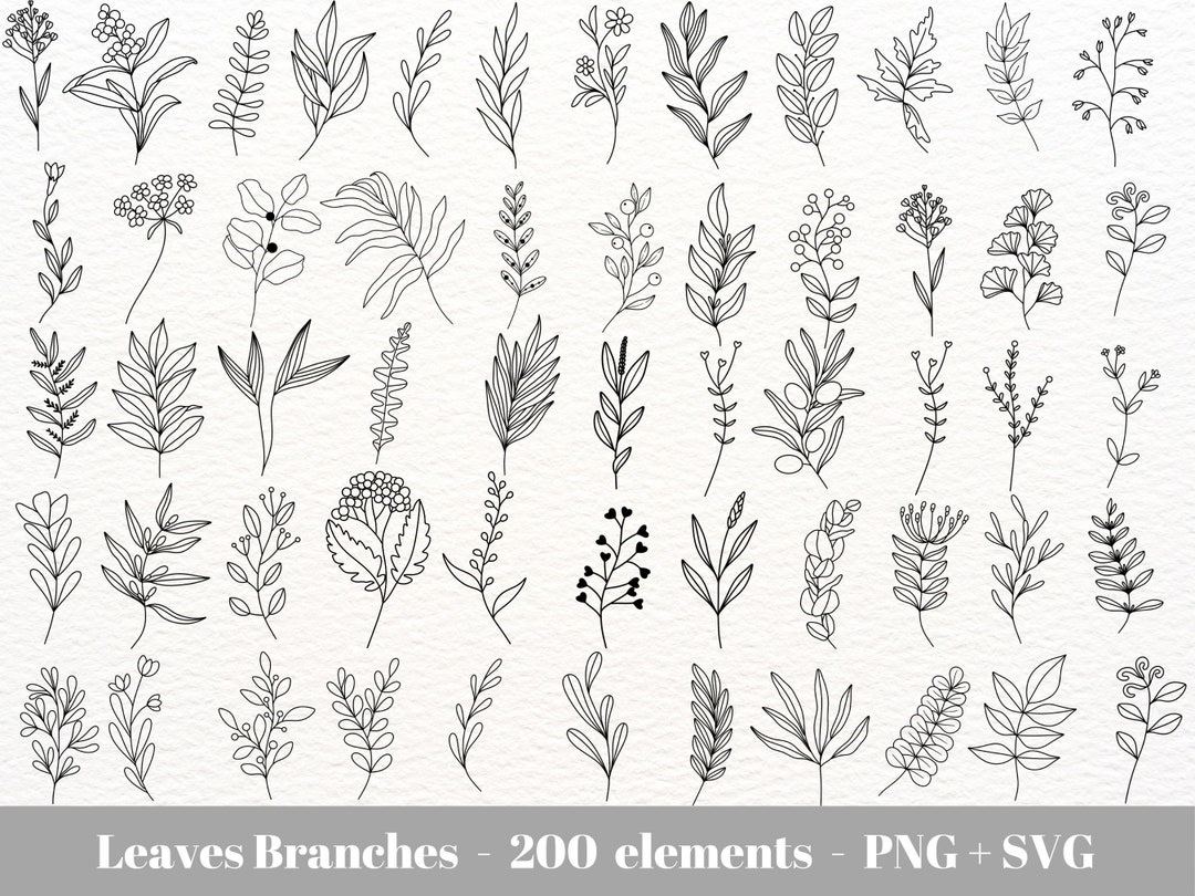 Greenery Line Art / Hand Drawn Leaf Svg / Leaves and Branches SVG ...