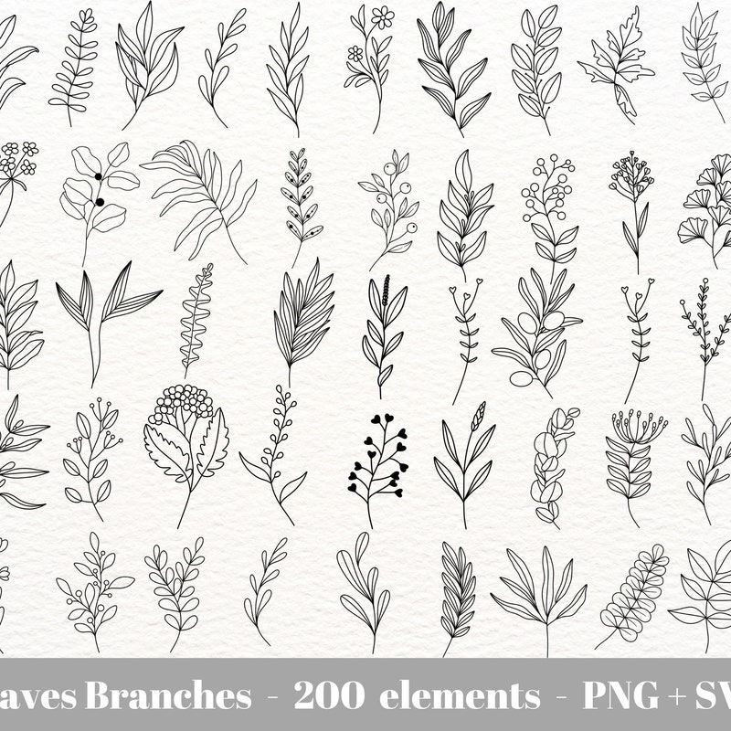 Line Drawing of a Leaf - Etsy