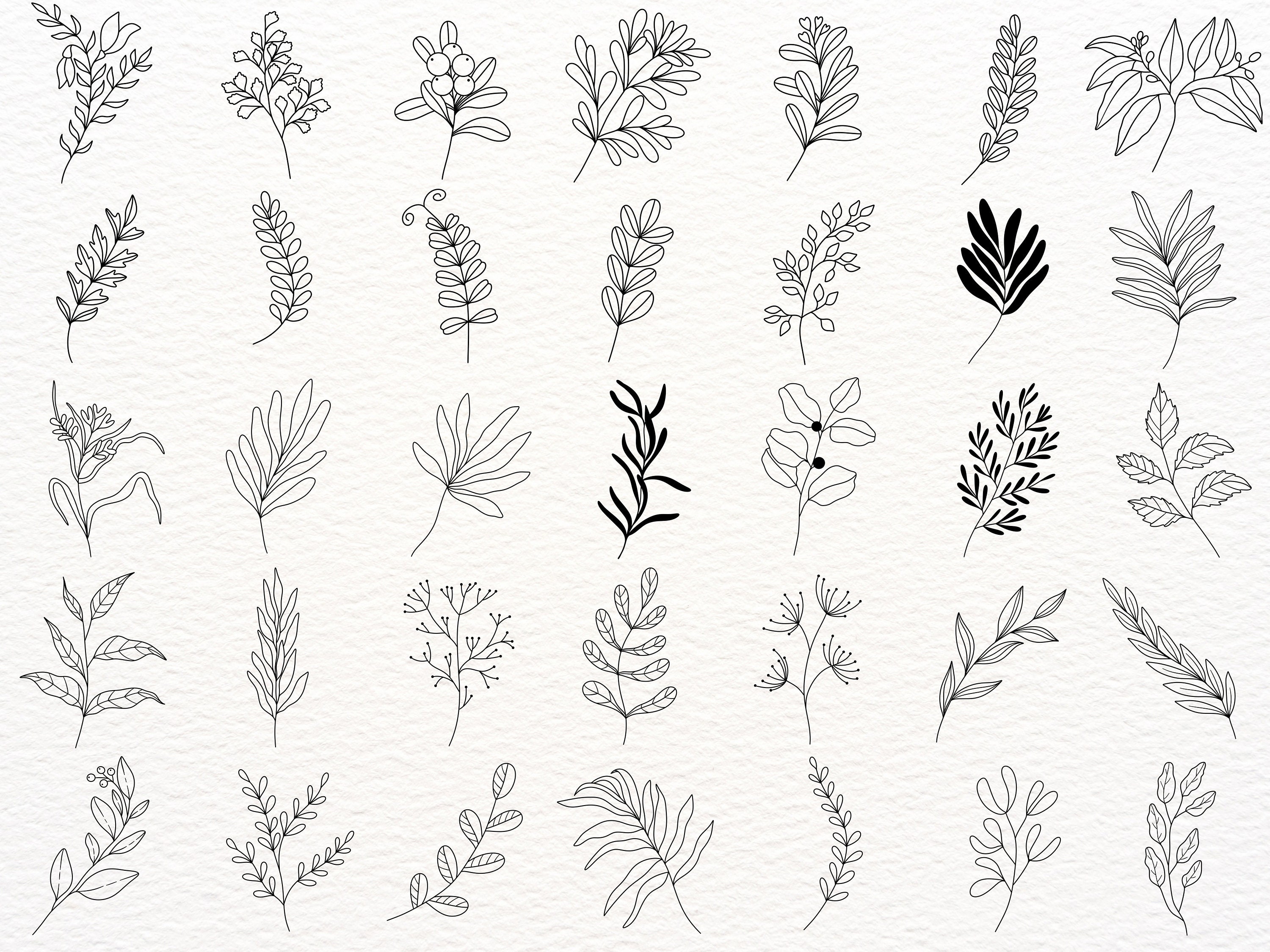 Greenery Line Art / Hand Drawn Leaf Svg / Leaves and Branches SVG ...