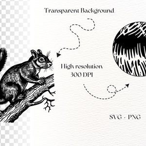 Squirrel Svg Bundle / Woodland Squirrel Svg / Woodland Animal Svg ...