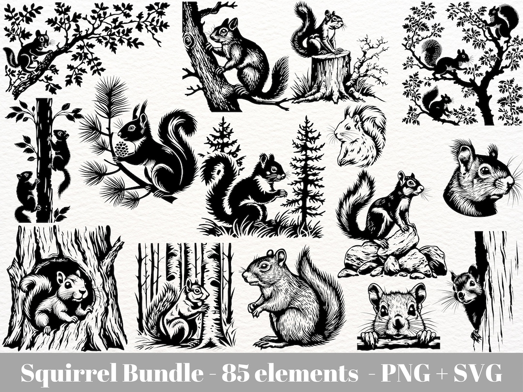 Squirrel Svg Bundle / Woodland Squirrel Svg / Woodland Animal Svg ...