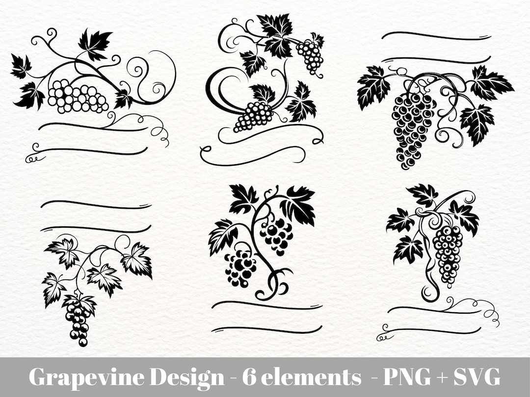 Grapevine Designs / Grapevine SVG for Commercial Use / Grapes and Vine SVG / Wine SVG Bundle ...