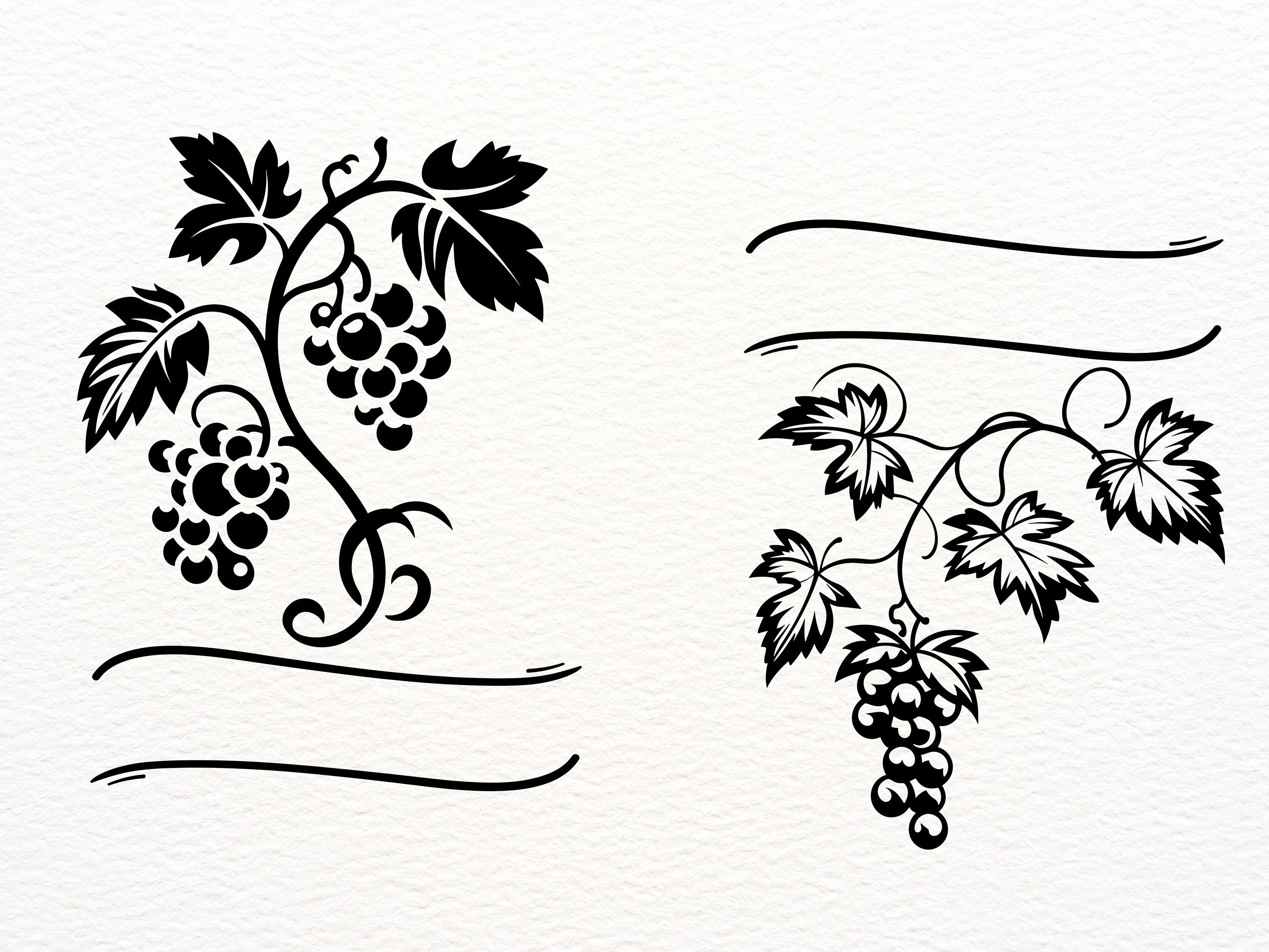 Grapevine Designs / Grapevine SVG for Commercial Use / Grapes and Vine ...