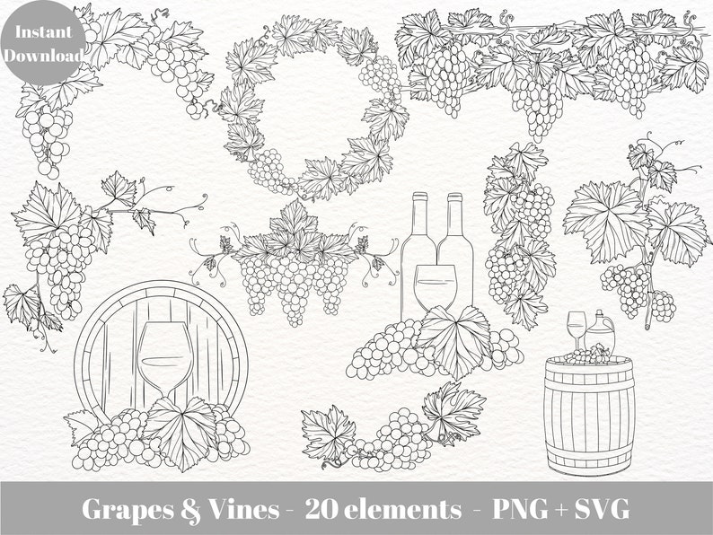 Grapevine SVG for Commercial Use / Grapes and Vine SVG / Wine SVG Bundle / Vineyard Vines Svg ...