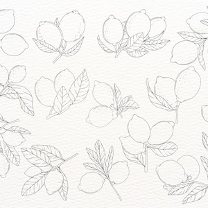 Zitrone Umriss / Zitrone SVG / Zitrone SVG Cricut / Zitronen Zweig ...