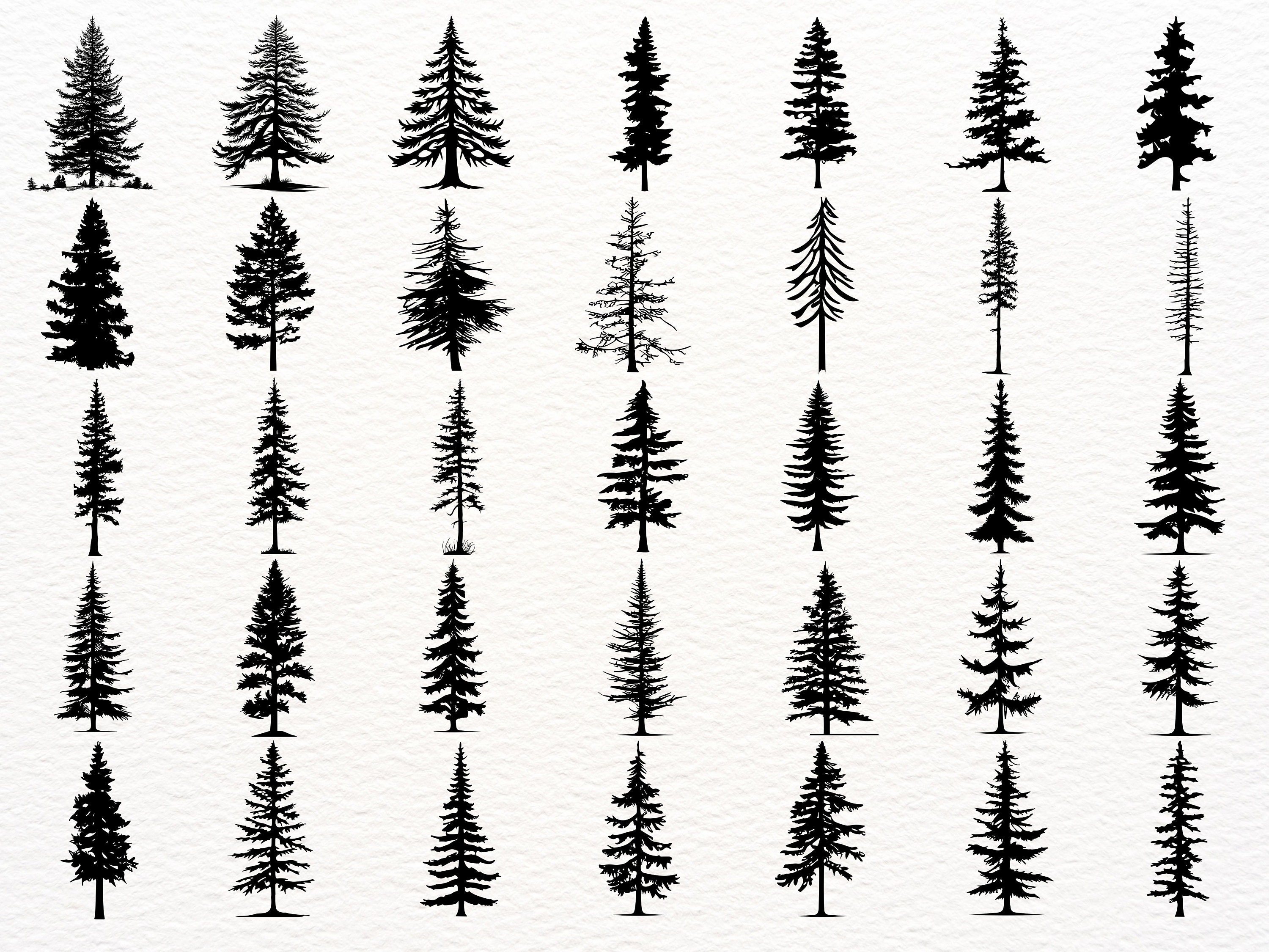 Evergreen Trees Svg / Pine Tree Svg File / Fir Tree Stencil / Forest ...