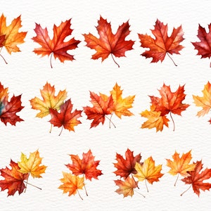 29 Watercolor Fall Leaves Clipart / Autumn Leaves Clipart PNG / Hand ...