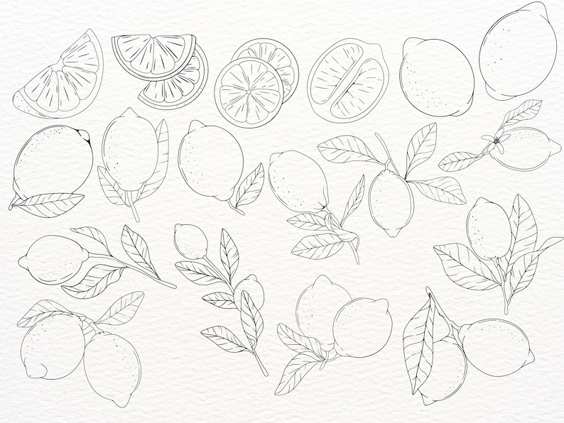 Zitrone Umriss / Zitrone SVG / Zitrone SVG Cricut / Zitronen Zweig ...