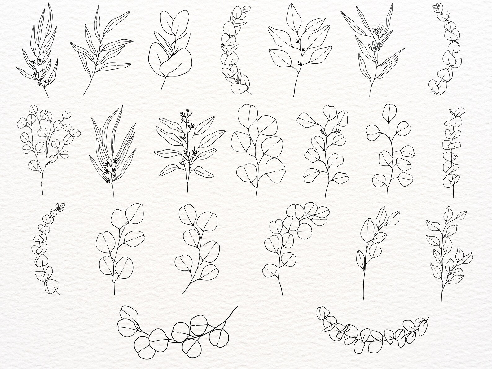 Eucalyptus Svg / Eucalyptus Wreath Svg / Eucalyptus Leaves Digital File ...